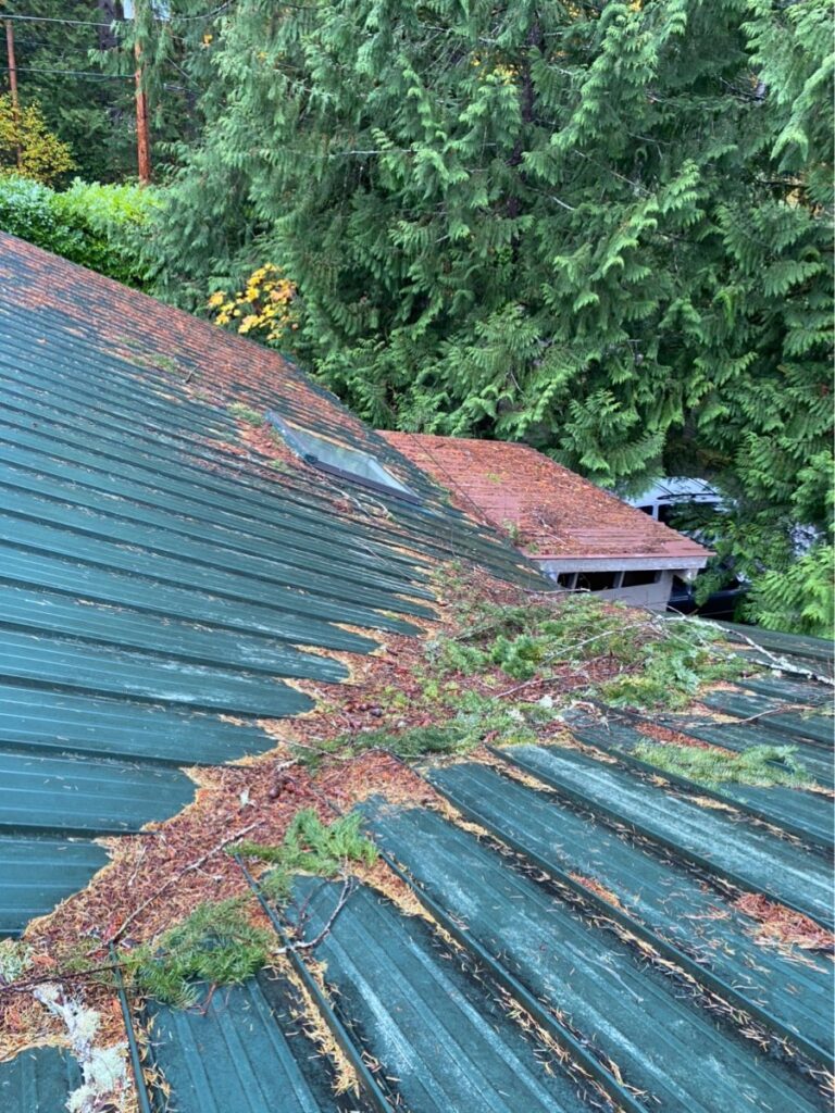 Johnny Tsunami Roof Cleaning Kitsap Services