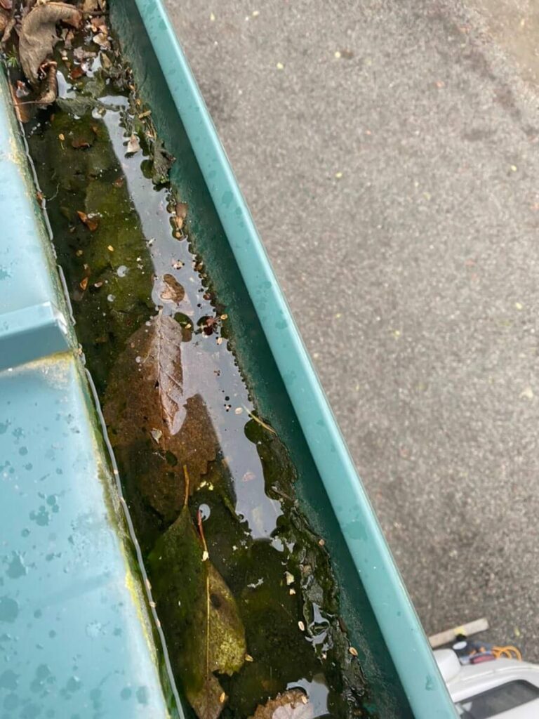 Professional Gutter Cleaning Services in PNW | Johnny Tsunami